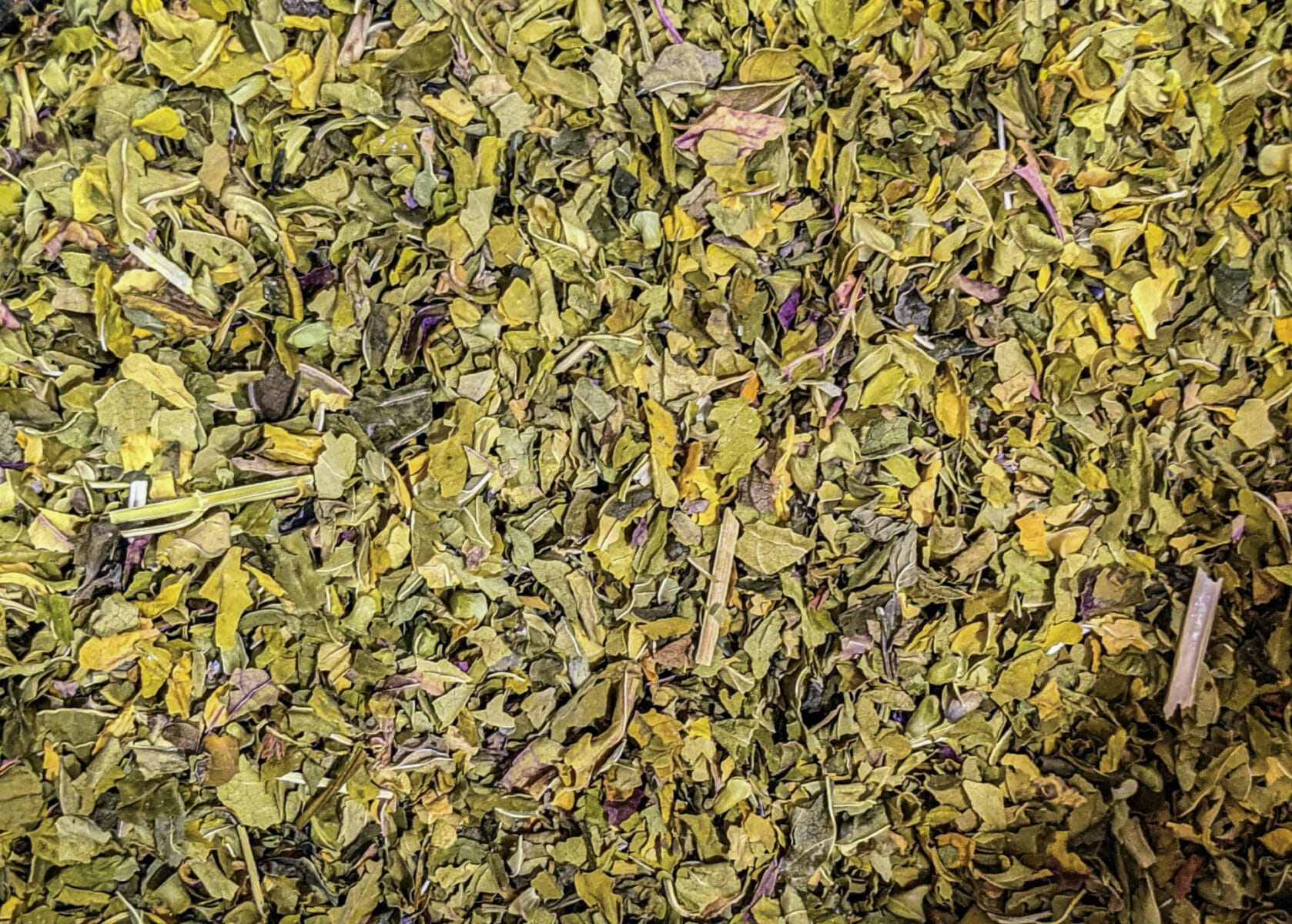 Guide to Smoking Skullcap - Smokably